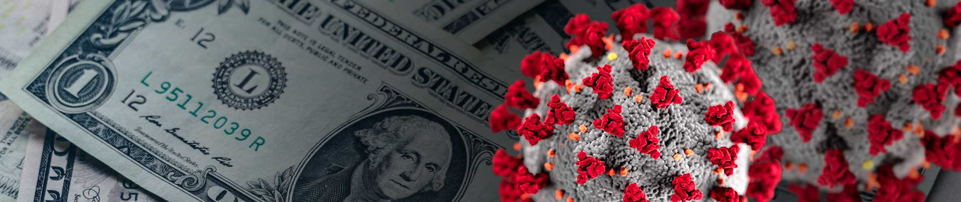 The Coronavirus and the US Economy - The Second Great Depression